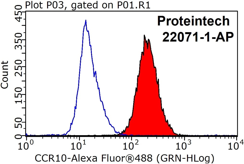 CCR10 Antibody (22071-1-AP)