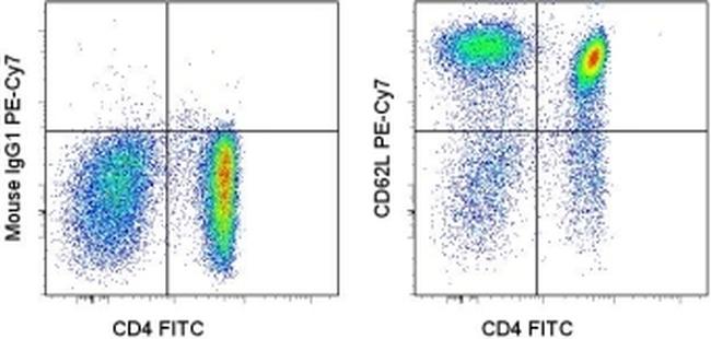 CD62L (L-Selectin) Antibody, PE-Cyanine7 (25-0629-42)