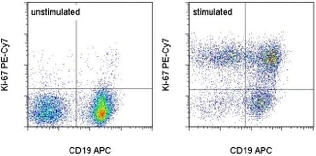 Ki-67 Antibody, PE-Cyanine7 (25-5698-80)