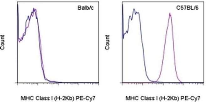MHC Class I (H-2Kb) Antibody, PE-Cyanine7 (25-5958-82)