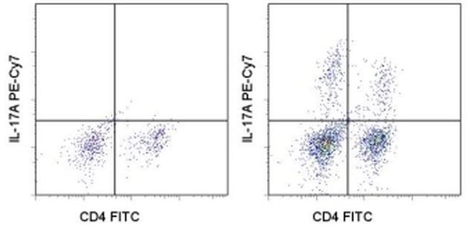 IL-17A Antibody, PE-Cyanine7 (25-7177-82)
