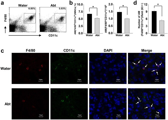 CD11c Antibody (14-0114-82)