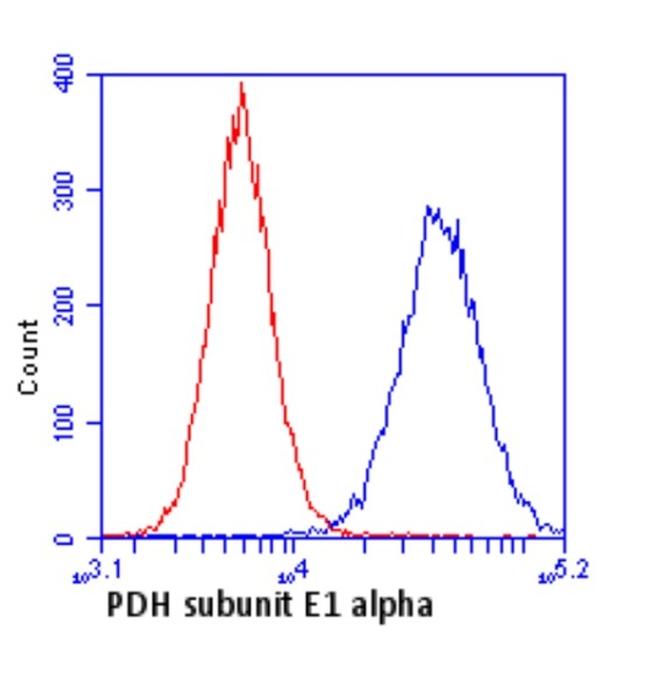 PDHA1 Antibody (45-6600)