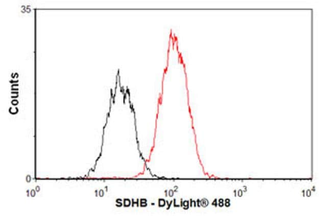 SDHB Antibody (459230)