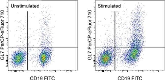 GL7 Antibody, PerCP-eFluor™ 710 (46-5902-82)