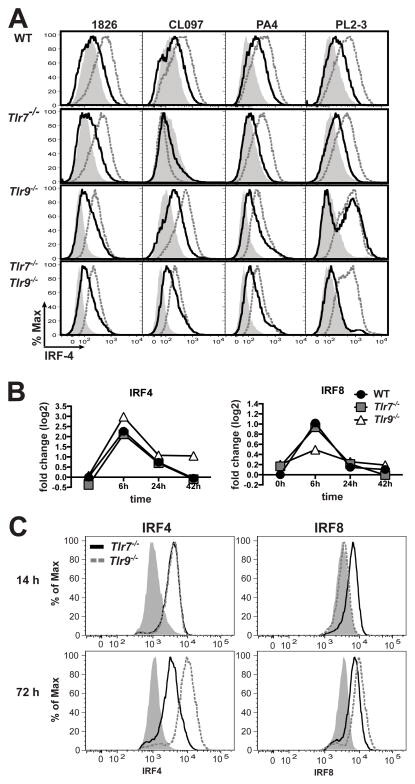 IRF8 Antibody, PerCP-eFluor™ 710 (Monoclonal, V3GYWCH)