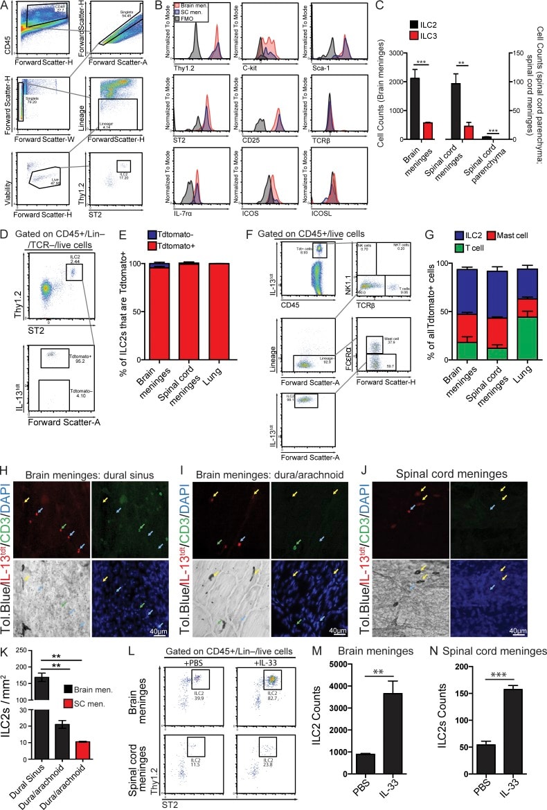 CD3 Antibody, FITC (11-0032-82)