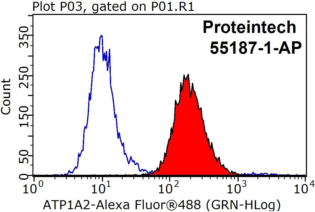 ATP1A1 Antibody (55187-1-AP)