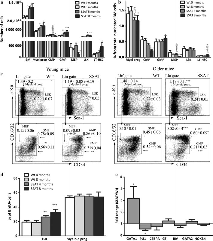 CD16/CD32 Antibody (Monoclonal, 93)