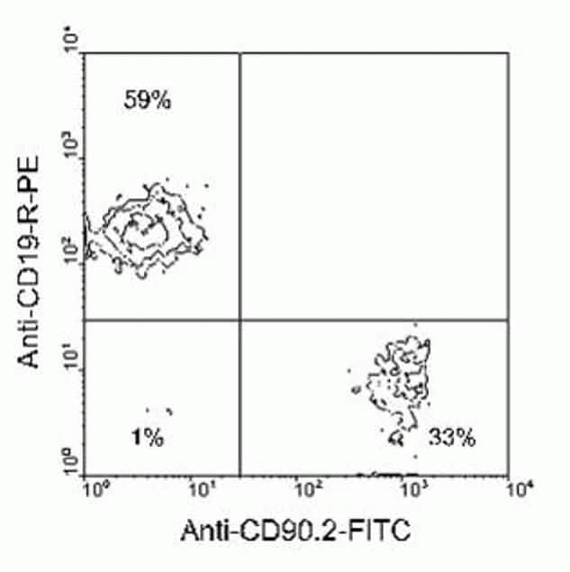 CD90.2 Antibody, FITC (A14728)