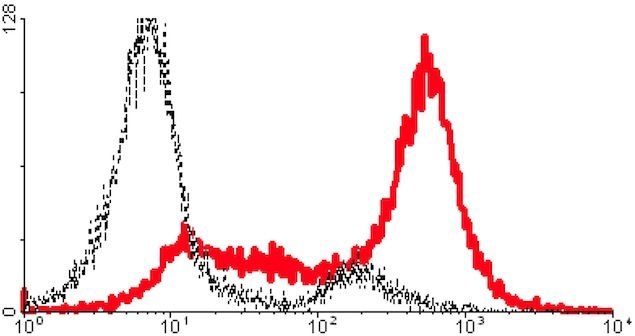 CD178 Antibody, FITC (A15381)