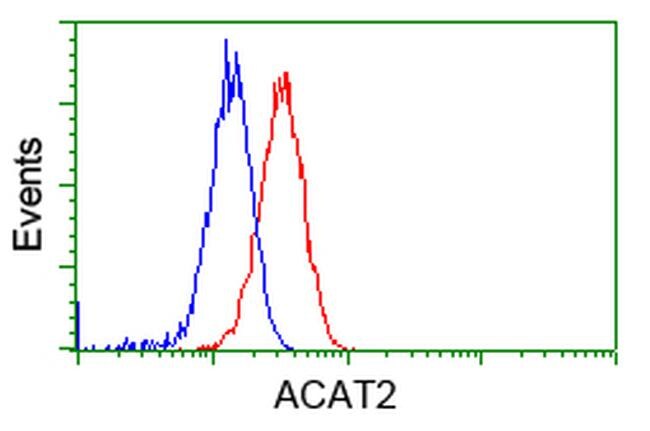 ACAT2 Antibody (TA501219)