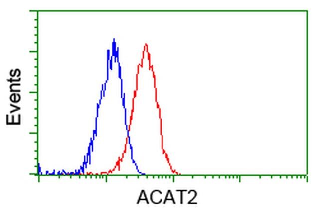 ACAT2 Antibody (TA501219)