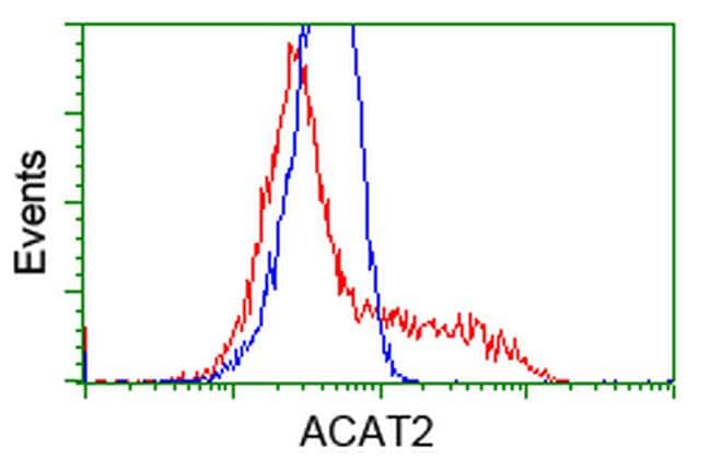 ACAT2 Antibody (TA501223)
