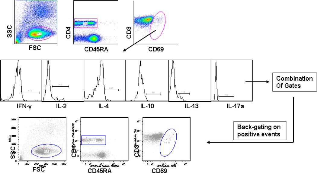 IL-10 Antibody (Monoclonal, JES3-9D7)