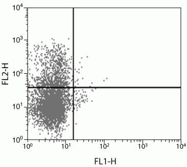 IL-2 Antibody (ARC0924)