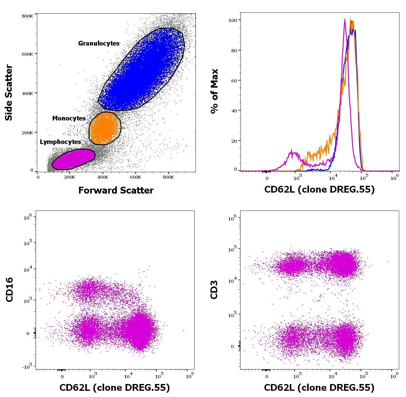 CD62L (L-Selectin) Antibody, FITC (BMS121FI)