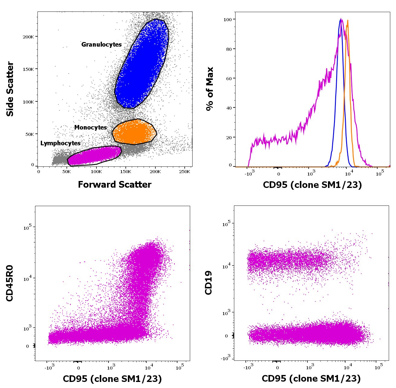 CD95 (APO-1/Fas) Antibody, Biotin (BMS140BT)