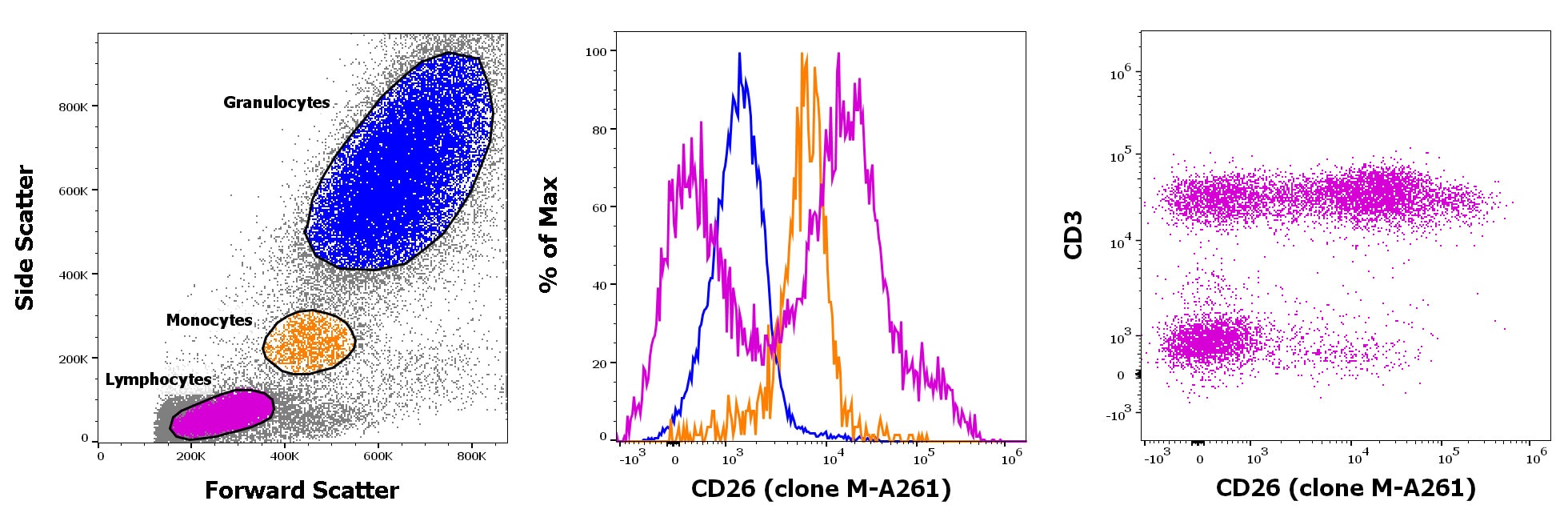 CD26 Antibody, Biotin (BMS143BT)