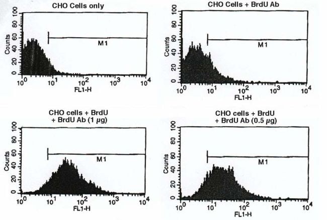 BrdU Antibody, FITC (MA1-12686)