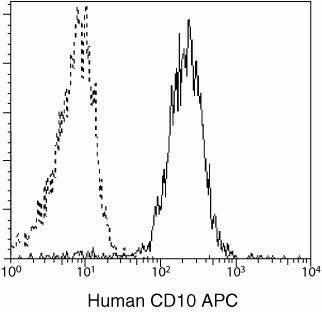 CD10 Antibody, APC (CD1005)