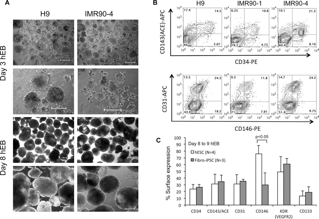CD31 (PECAM-1) Antibody, PE-Cyanine7 (Monoclonal, WM-59 (WM59))