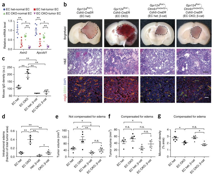 CD31 (PECAM-1) Antibody, PE-Cyanine7 (25-0311-82)