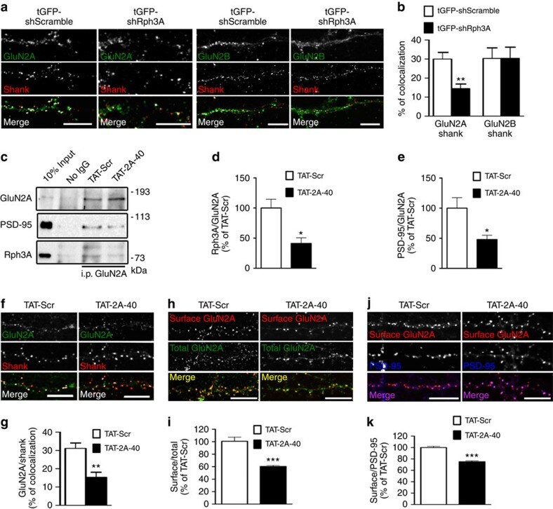 CD3e Antibody (14-0031-82)