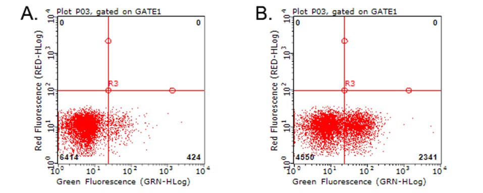 TIGIT Antibody (CF813035)