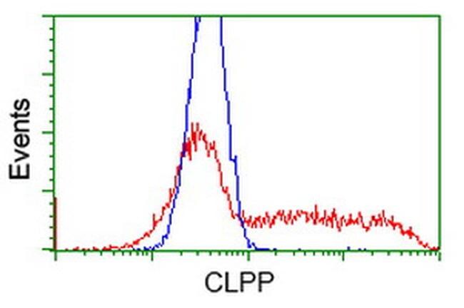 CLPP Antibody (TA502060)