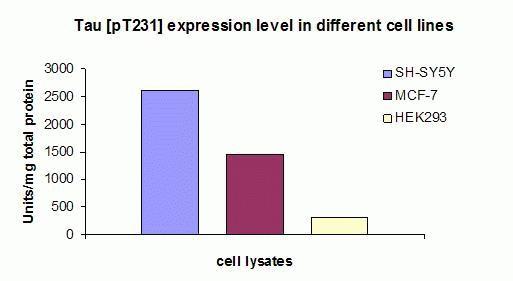 Microtubule Associated Protein Tau ELISA Kits | AntibodyResource.com