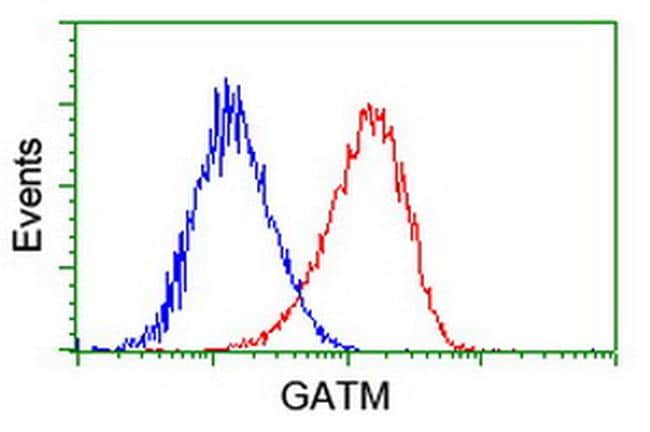 GATM Antibody (TA503207)