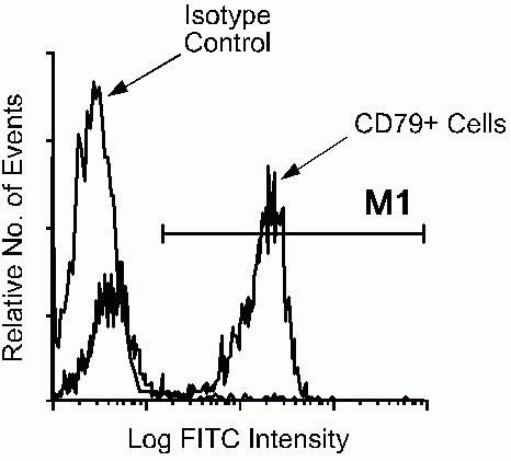 CD79b Antibody, FITC (HMCD79B01)