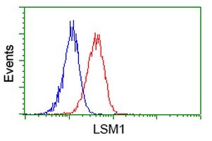 LSM1 Antibody (CF503121)
