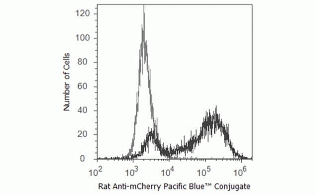 mCherry Antibody (M11217)