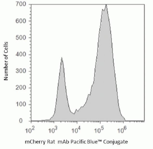 mCherry Antibody, Pacific Blue™ (M11238)
