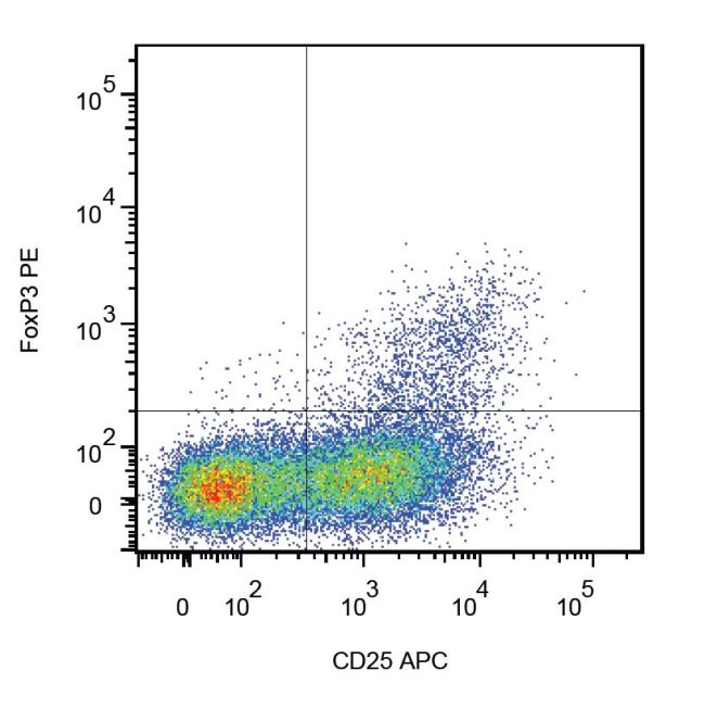 FOXP3 Antibody, PE (MA1-10332)