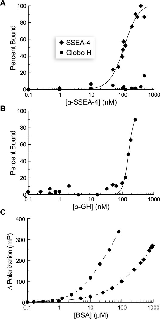 SSEA4 Antibody (Monoclonal, MC-813-70) SSEA4 Antibody (Monoclonal, MC-813-70)