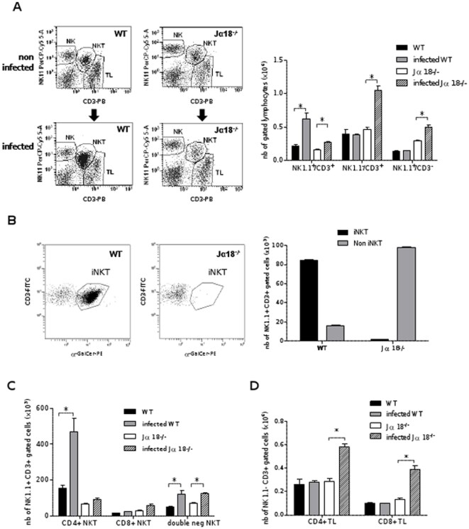 CD3e Antibody (Monoclonal, SP7)