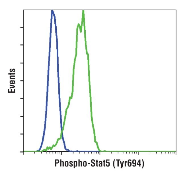 Phospho-STAT5 alpha (Tyr694) Antibody (MA5-14822)