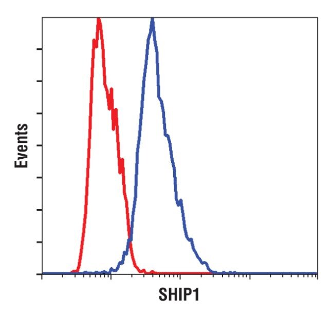 SHIP1 Antibody (MA5-14893)
