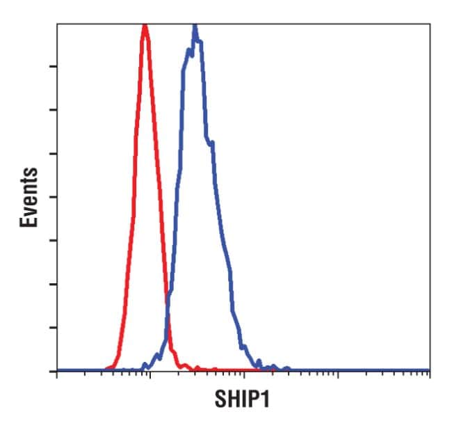 SHIP1 Antibody (MA5-14896)
