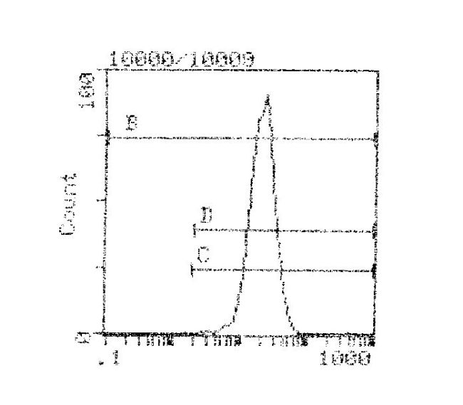 H-2Kb/H-2Db Antibody, FITC (MA5-17999)