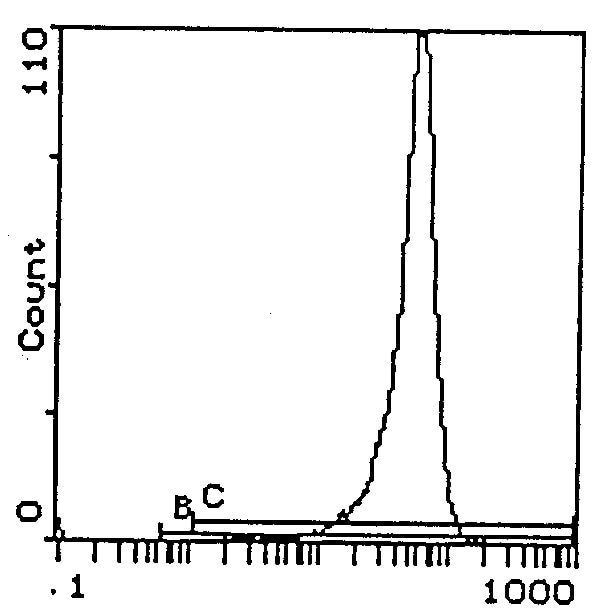 H-2Kb/H-2Db Antibody, PE (MA5-18000)