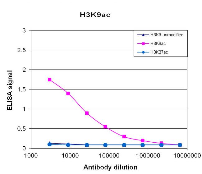 H3K9ac Antibody (MA5-23517)