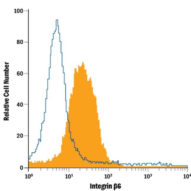 Anti-ITGB6 (Integrin beta 6) Antibodies | Invitrogen