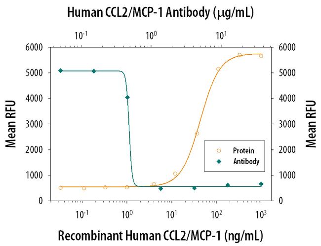 MCP-1 Antibody (MA5-23712)