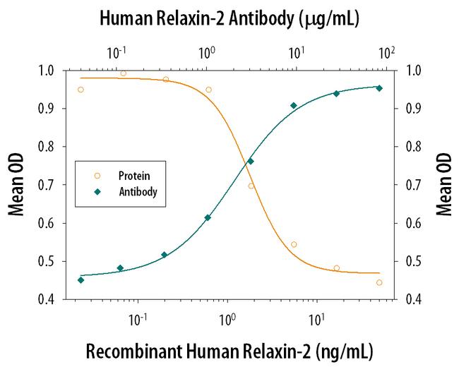 Relaxin 2 Antibody (MA5-24088)