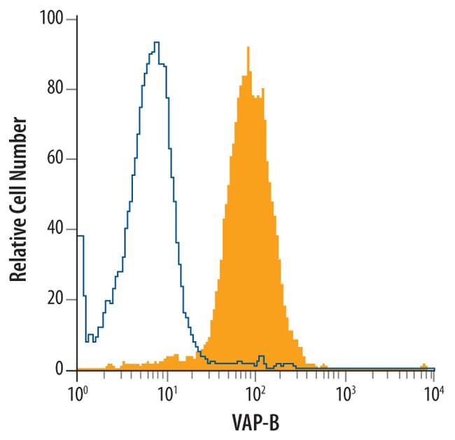 VAPB Antibody (MA5-24348)