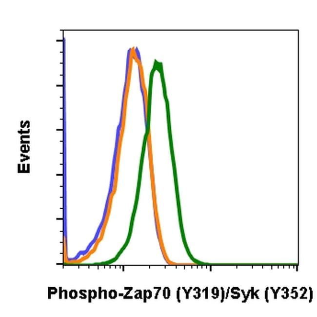 Phospho-ZAP70/Syk (Tyr319, Tyr352) Antibody (MA5-28069)